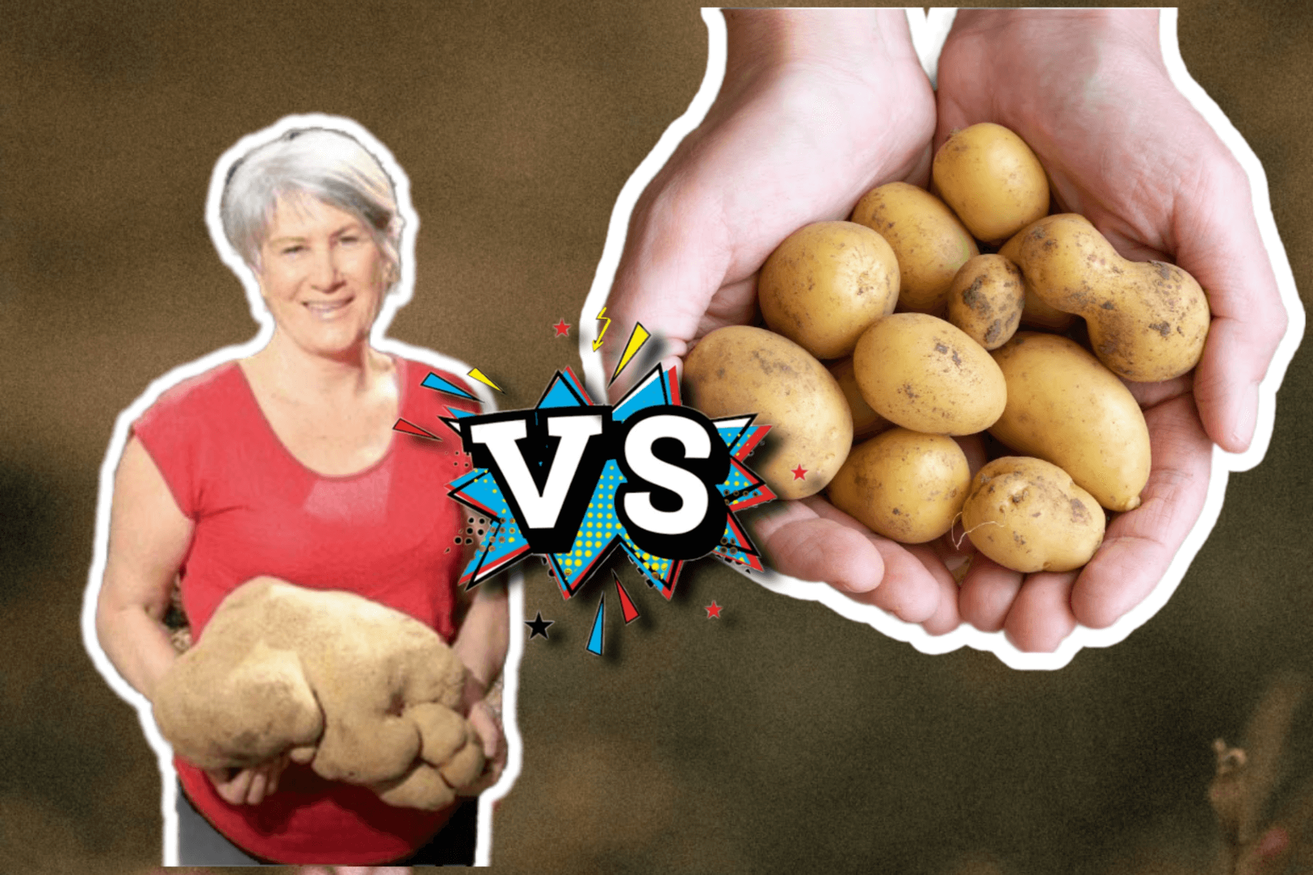 BIGGEST POTATO - Scimagine