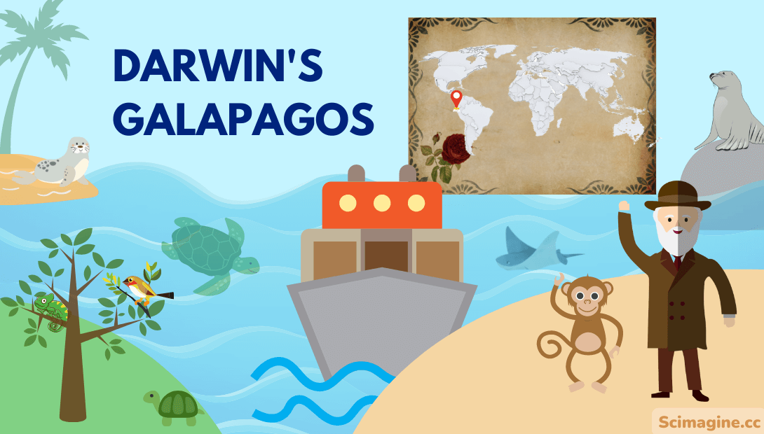 DARWIN's GALAPSGOS - Scimagine